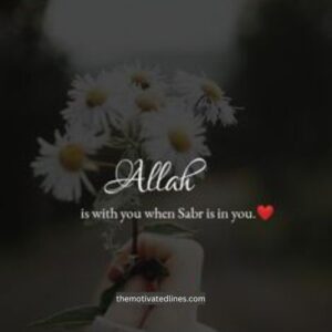 30 Best Islamic Dp for Whatsapp With Quotes - The Motivated Lines