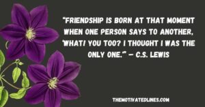 50 Bestie Quotes In English - The Motivated Lines